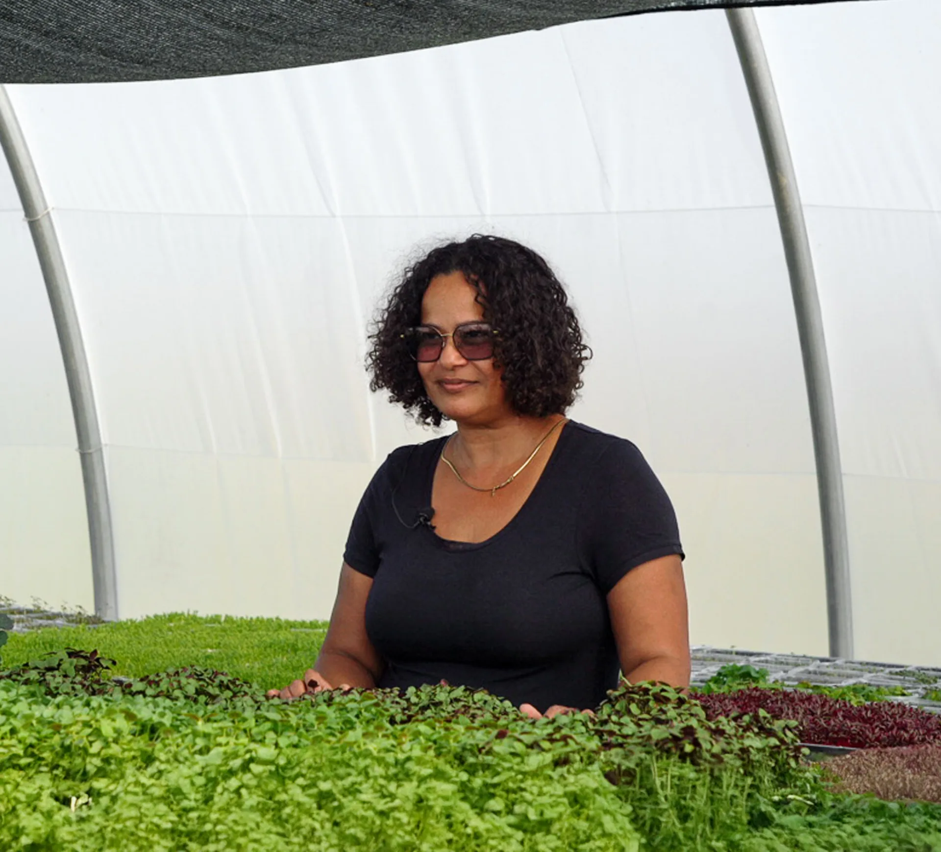 Luciana Fondacci, cultivatrice de micropousses - Royan Atlantique